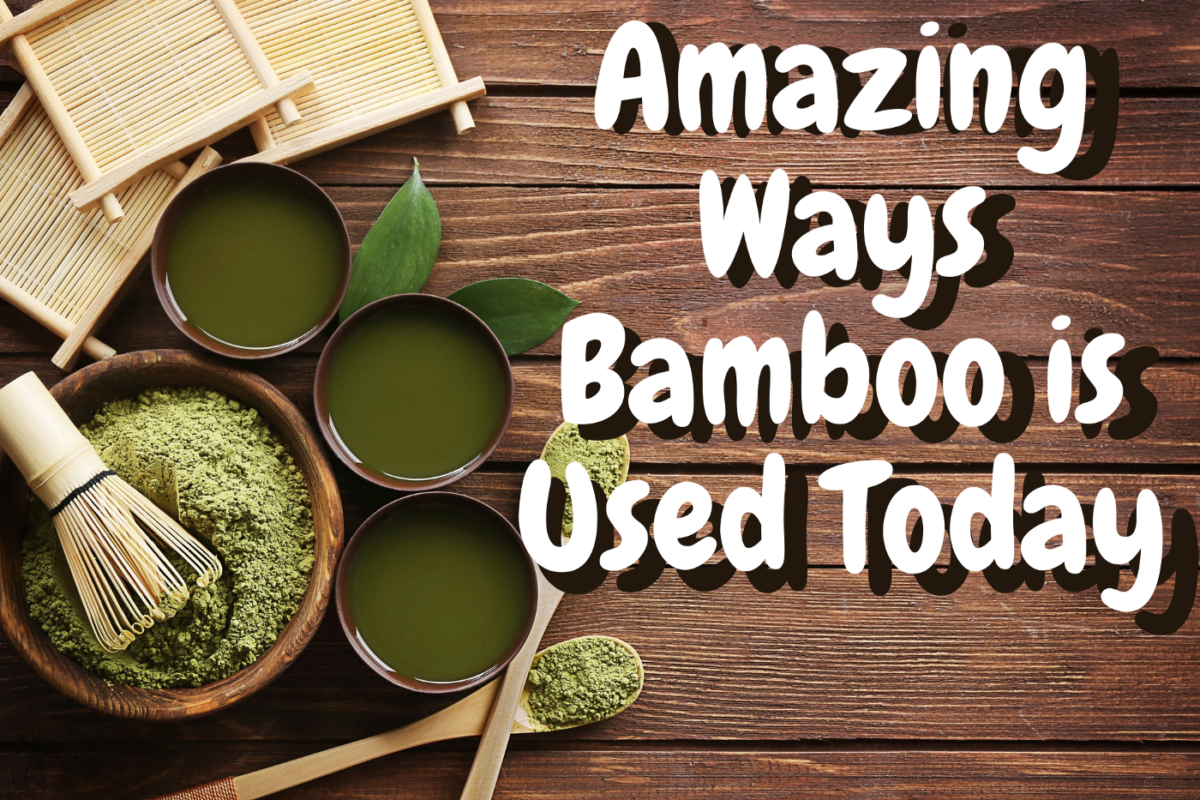 40 Amazing Ways Bamboo is Used Today - TLG